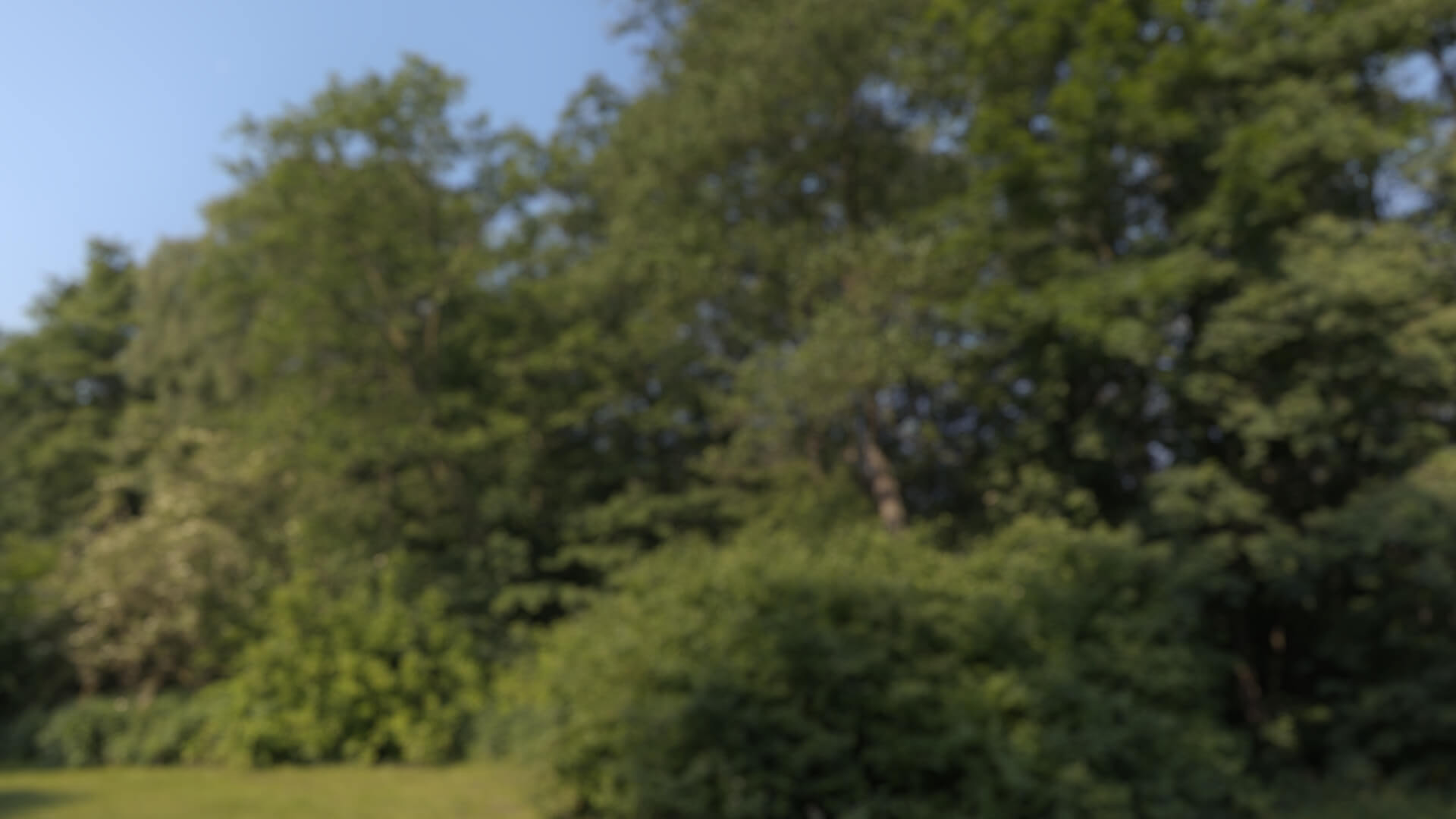 HX 8K Blurred Backgrounds 1 - 2D Game Asset by HumanXYStudio