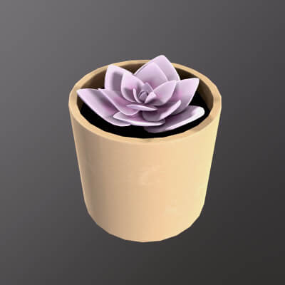 Low Poly Models | Plants | Plant Pots | RenderHub