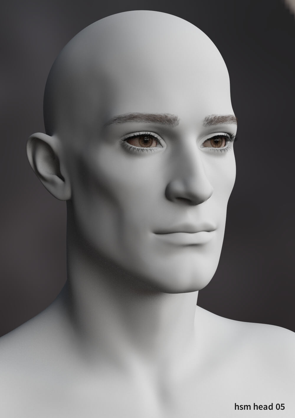 HS-Models Head Morphs for G9 Masculine Daz Content by Hyp-St