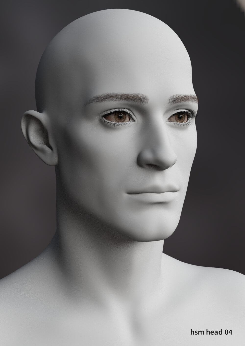 HS-Models Head Morphs for G9 Masculine Daz Content by Hyp-St