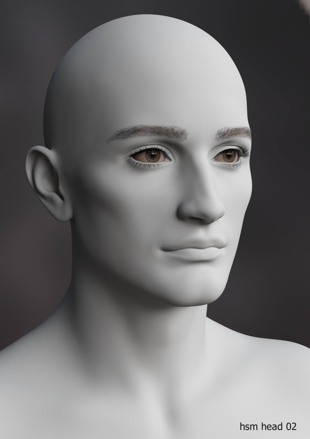 HS-Models Head Morphs for G9 Masculine Daz Content by Hyp-St