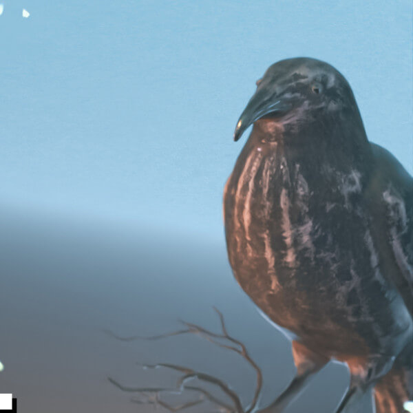 3D Art Gallery by IAmAFox at RenderHub