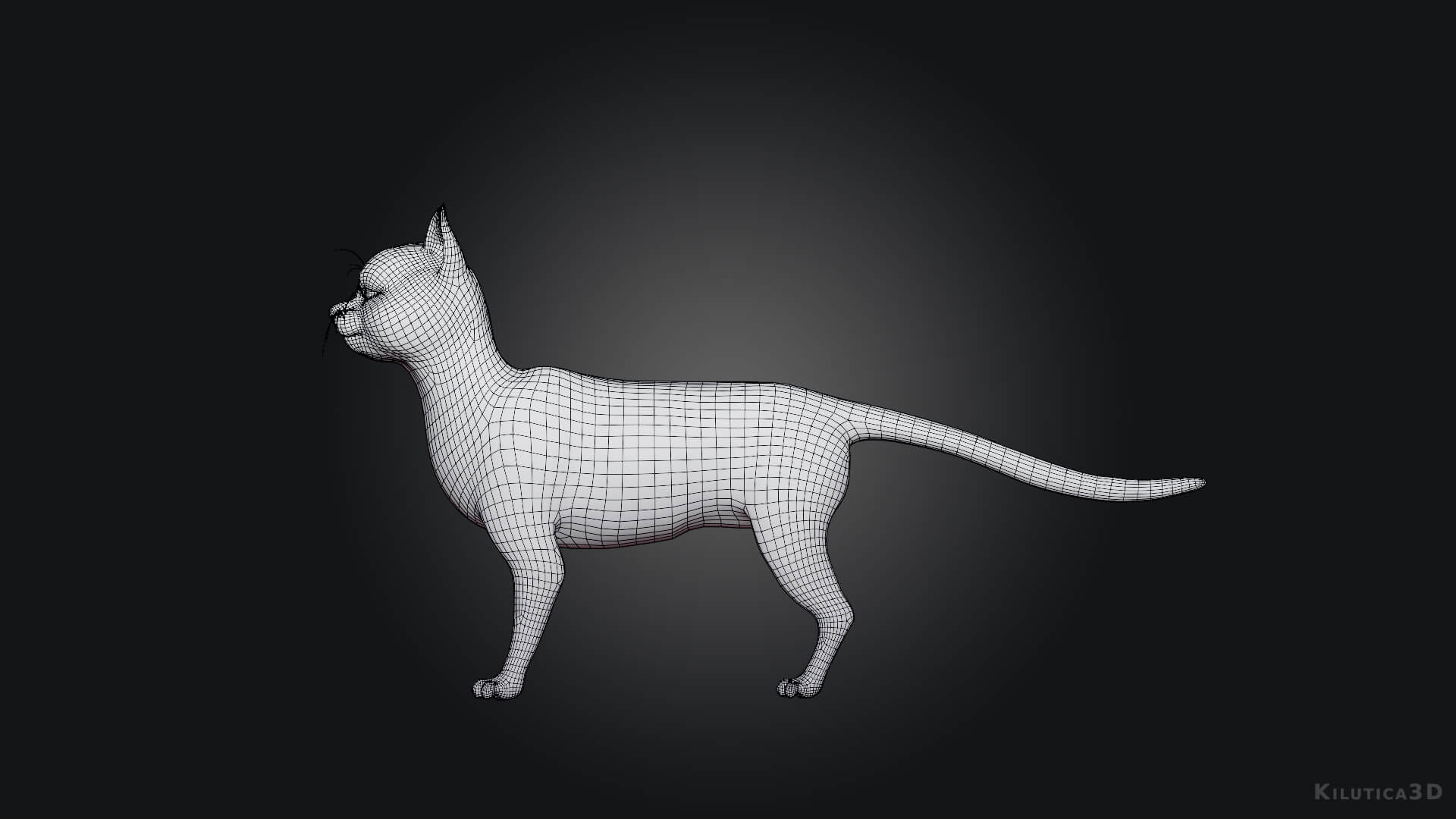 Rigged Cute Cat Low Poly 3D Model by Ignkiran
