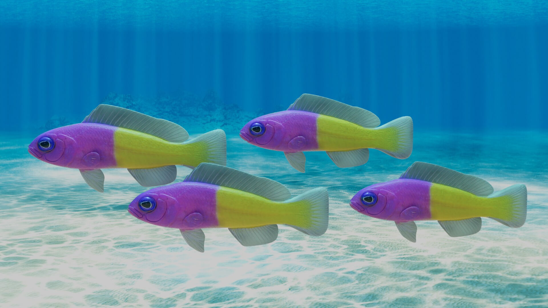 Bicolor Dottyback Fish - 3D Model by ilham45