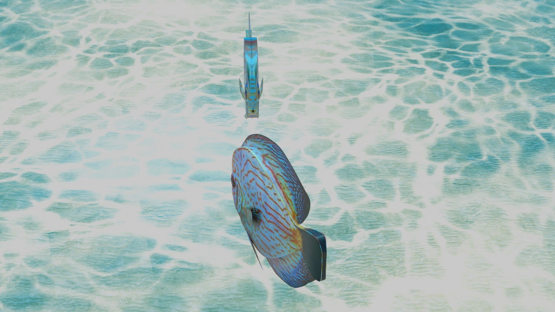 Discus Fish 3D model by ilham45