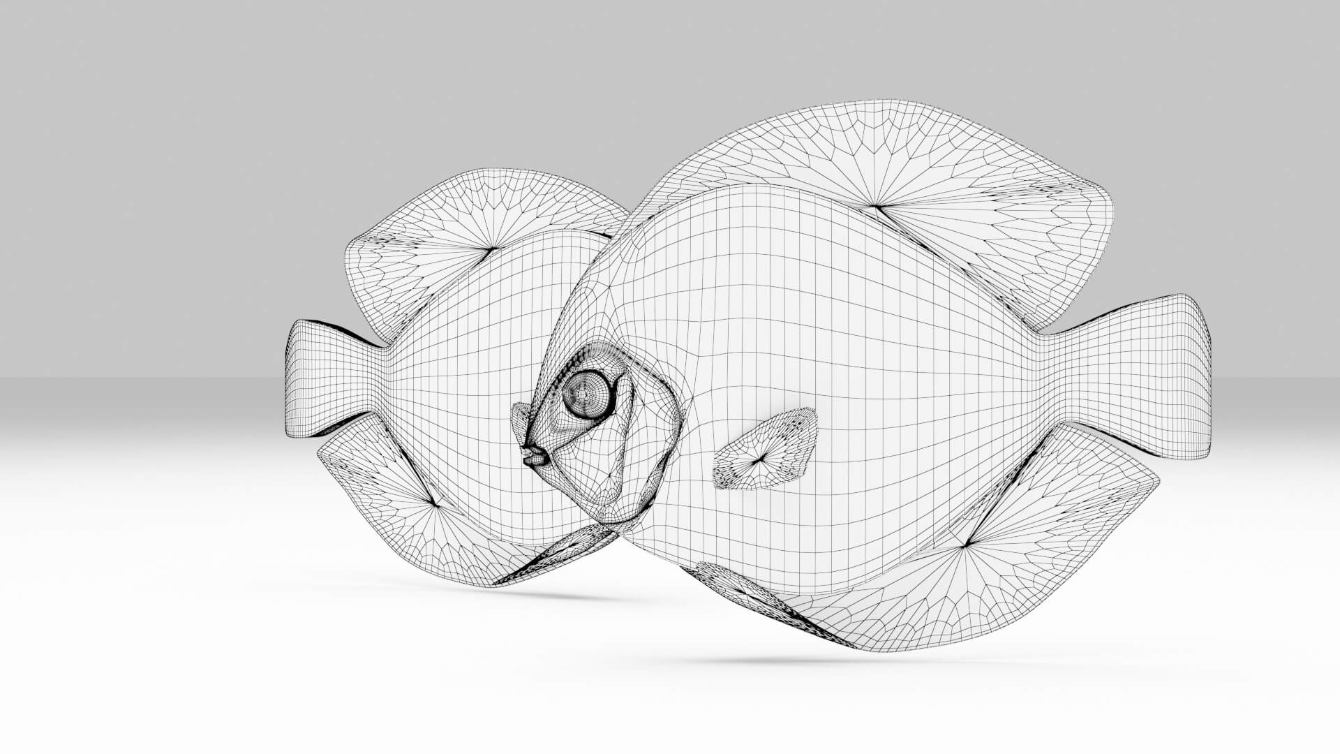 Discus Fish 3D model by ilham45