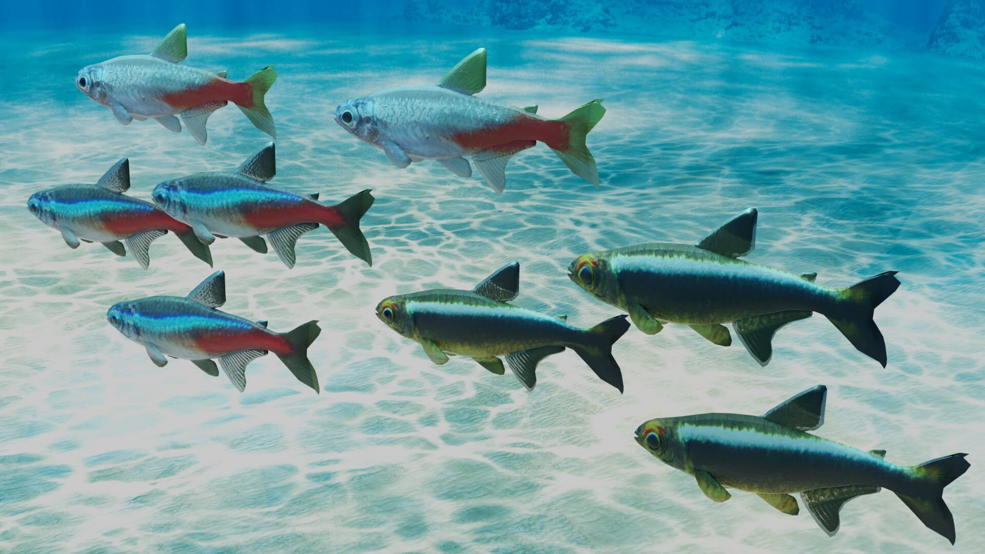 Neon Tetra Fish - 3D Model by ilham45