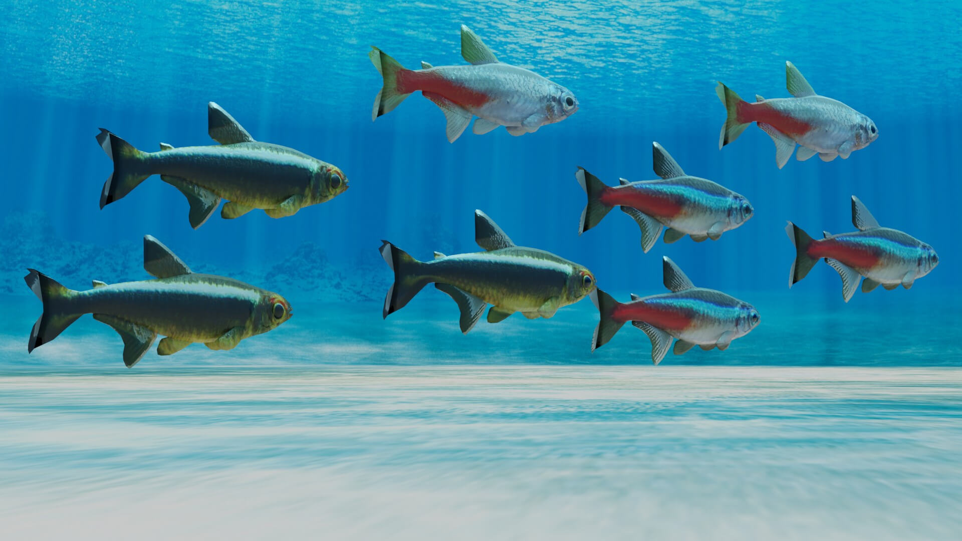 Neon Tetra Fish - 3D Model by ilham45