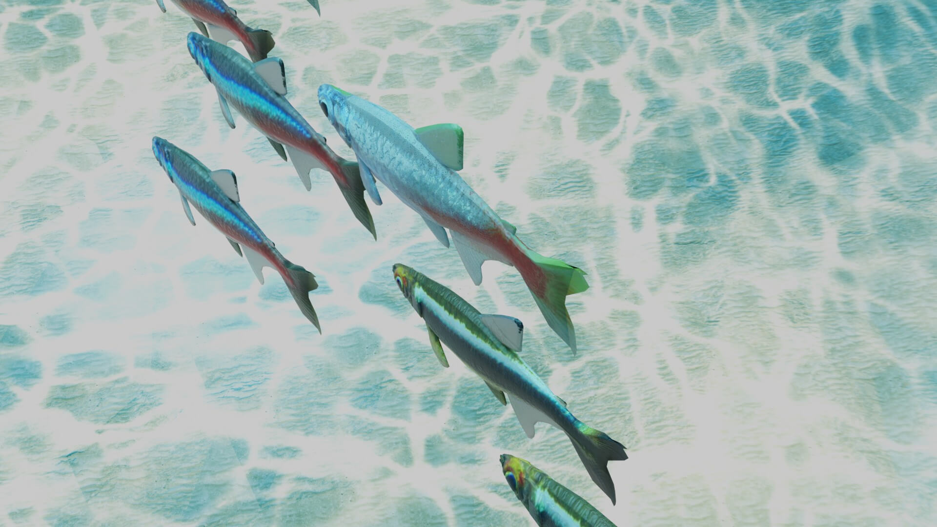 Neon Tetra Fish - 3D Model by ilham45