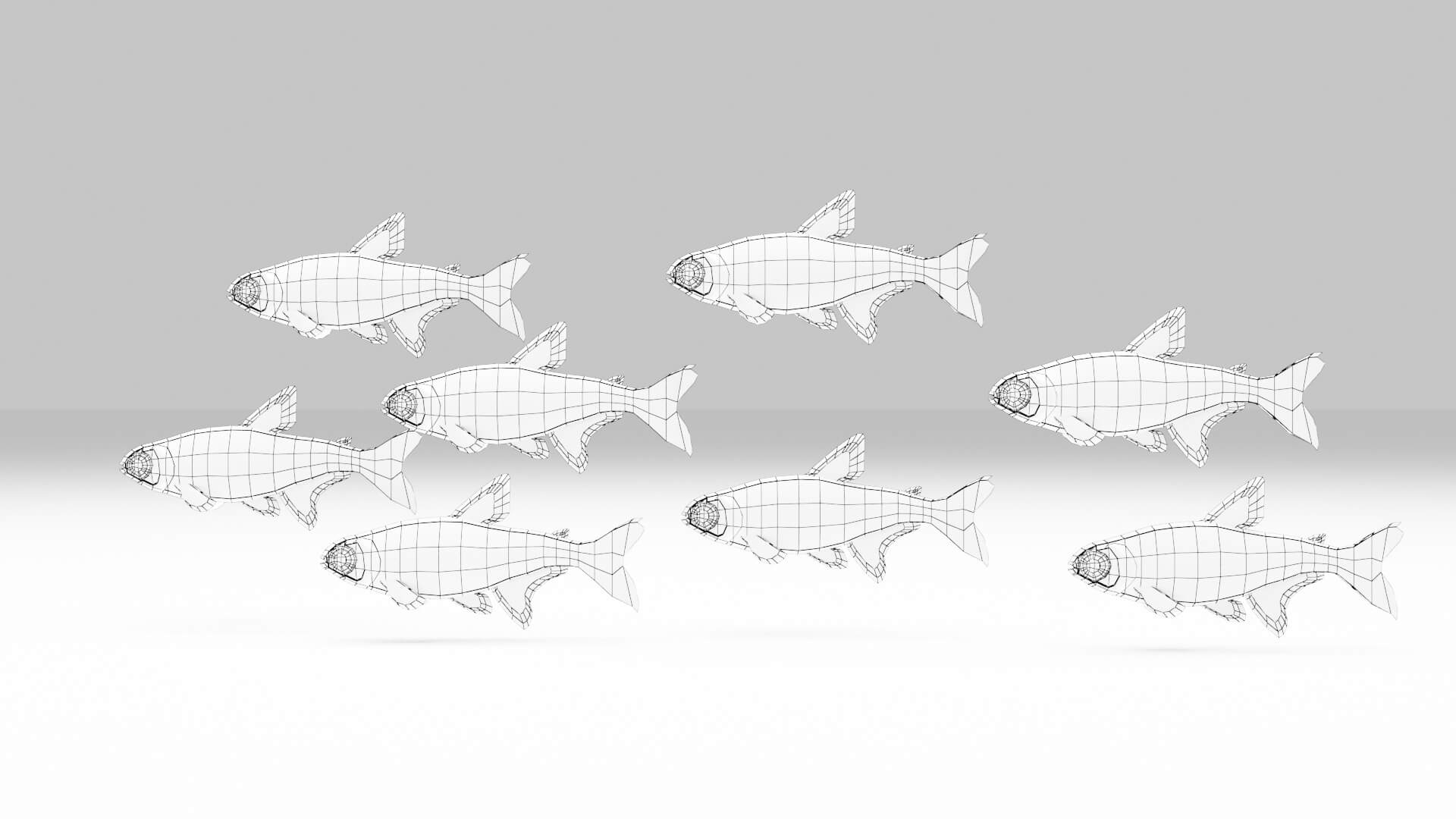 Neon Tetra Fish - 3D Model by ilham45