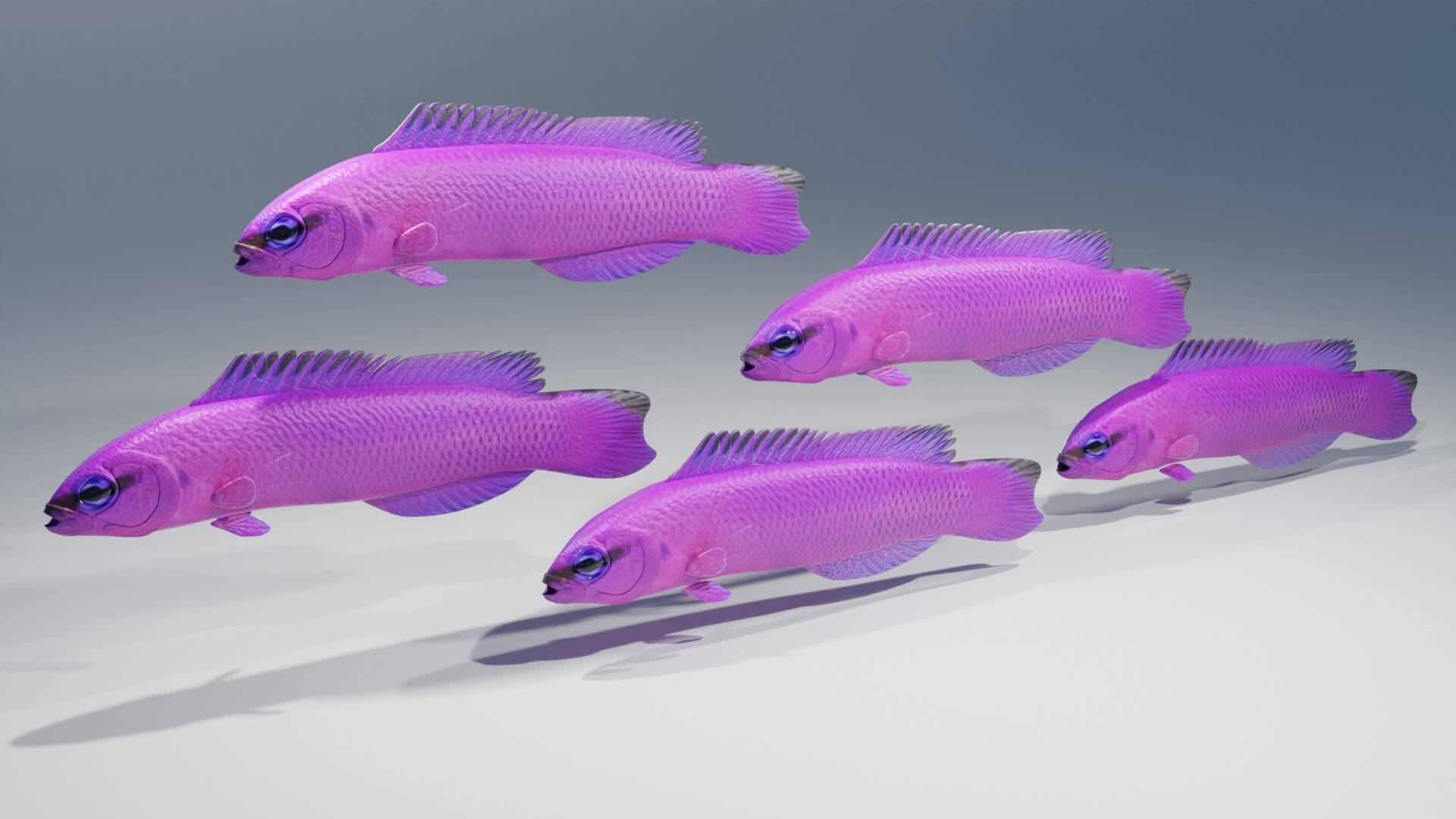 Orchid Dottyback Fish - 3D Model by ilham45
