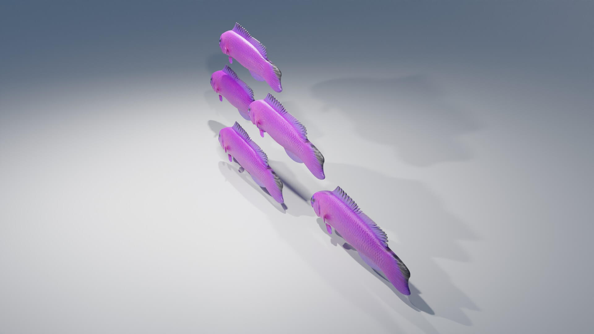 Orchid Dottyback Fish - 3D Model by ilham45