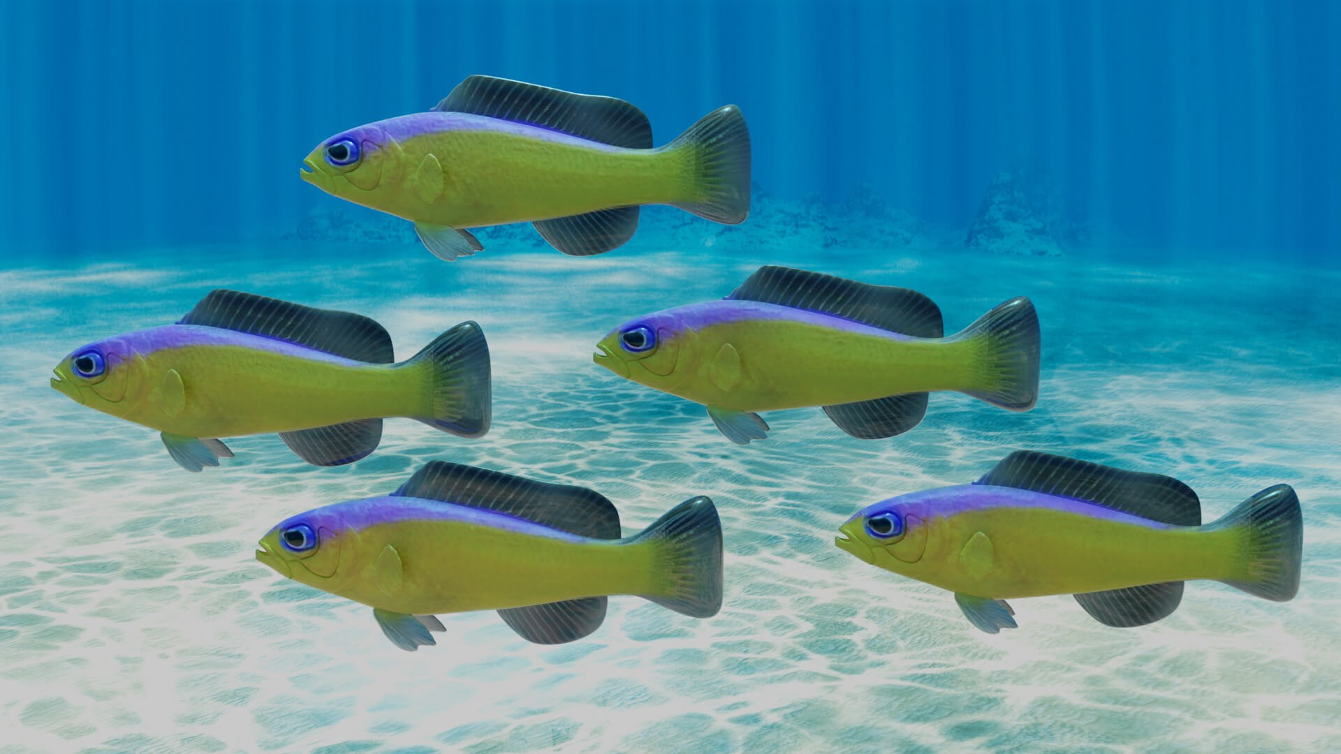 Purple Stripe Dottyback Fish - 3D Model by ilham45