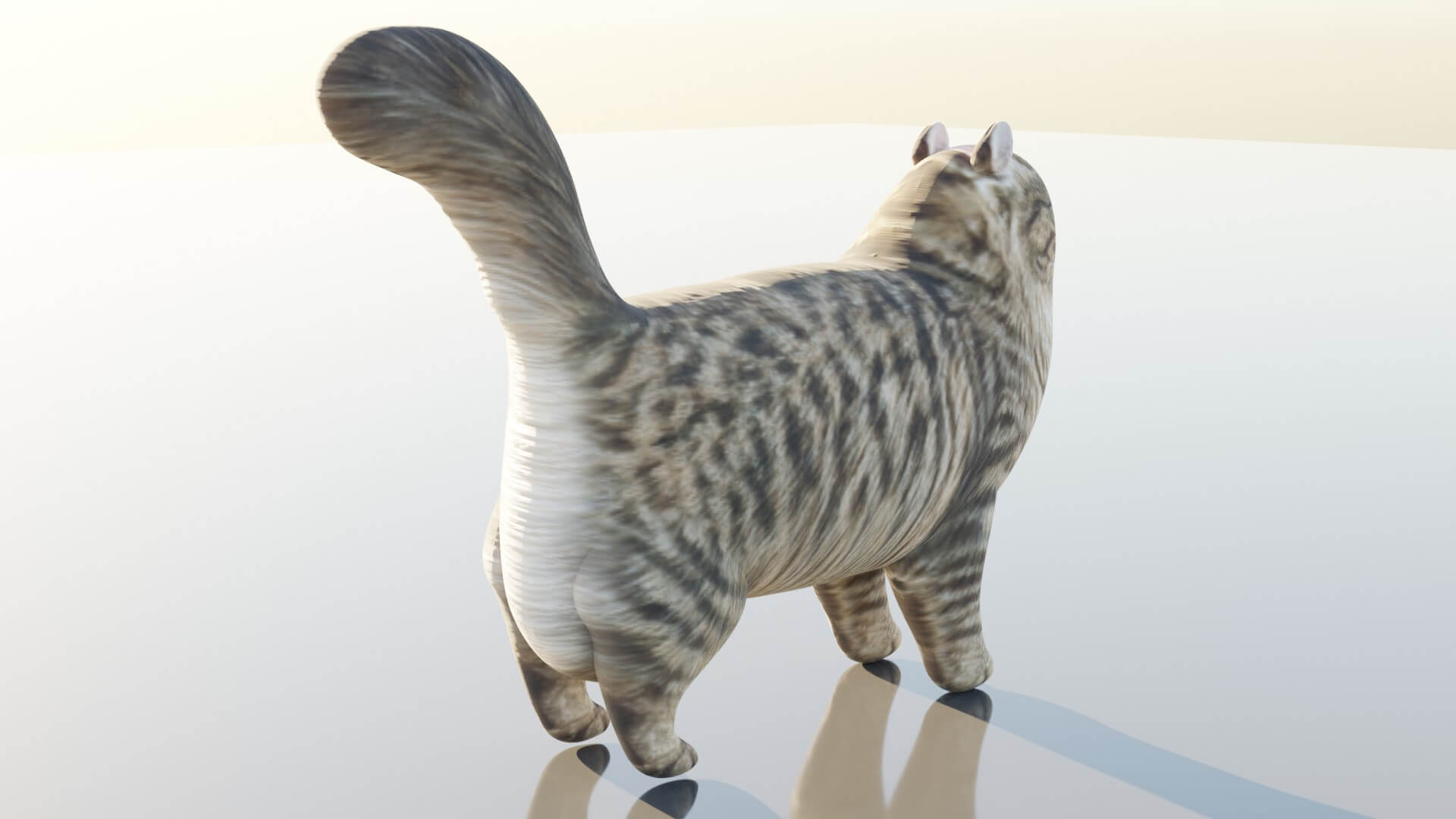 Siberian Cat - Free 3D Model by ilham45