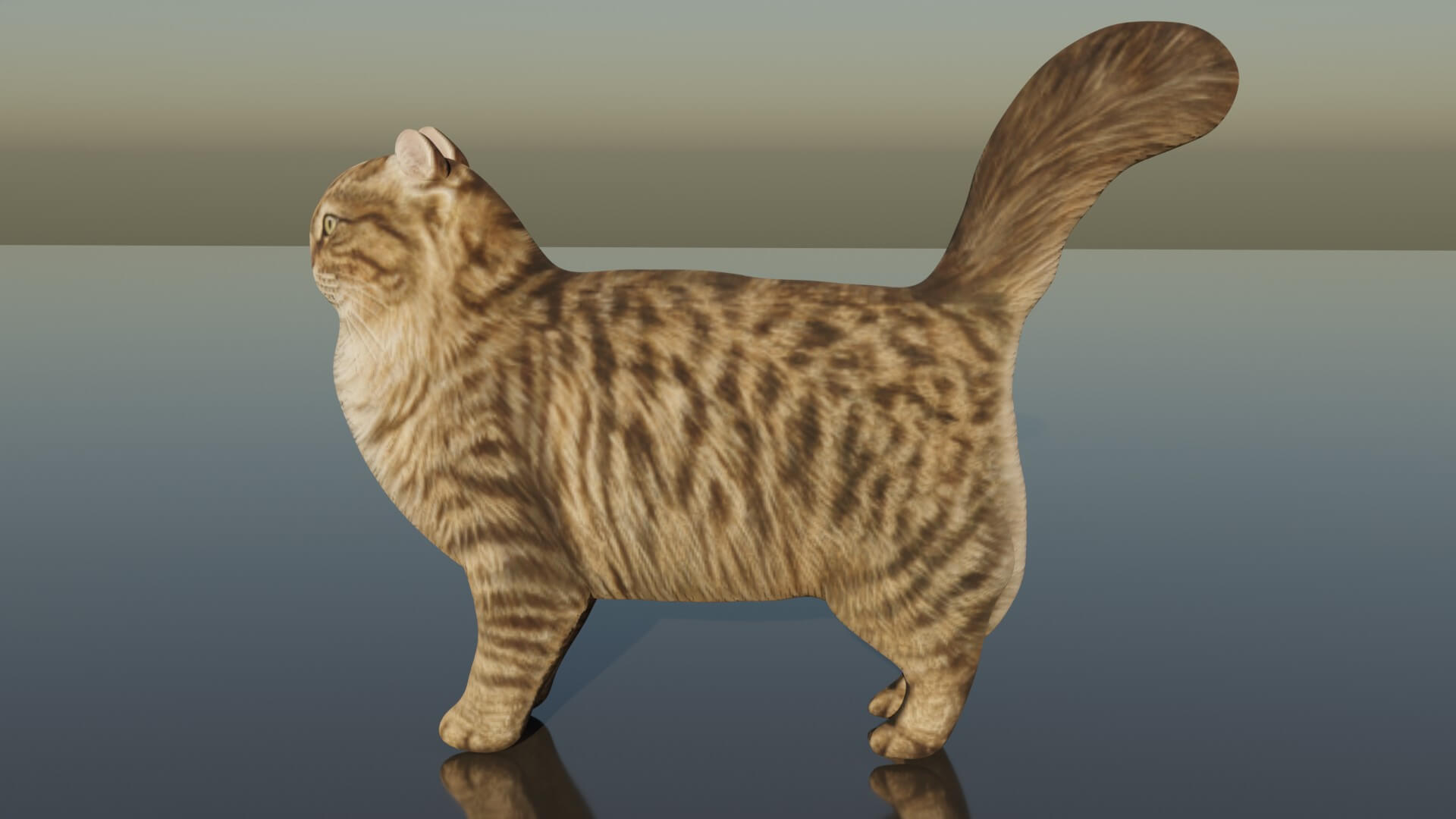 Siberian Cat - Free 3D Model by ilham45