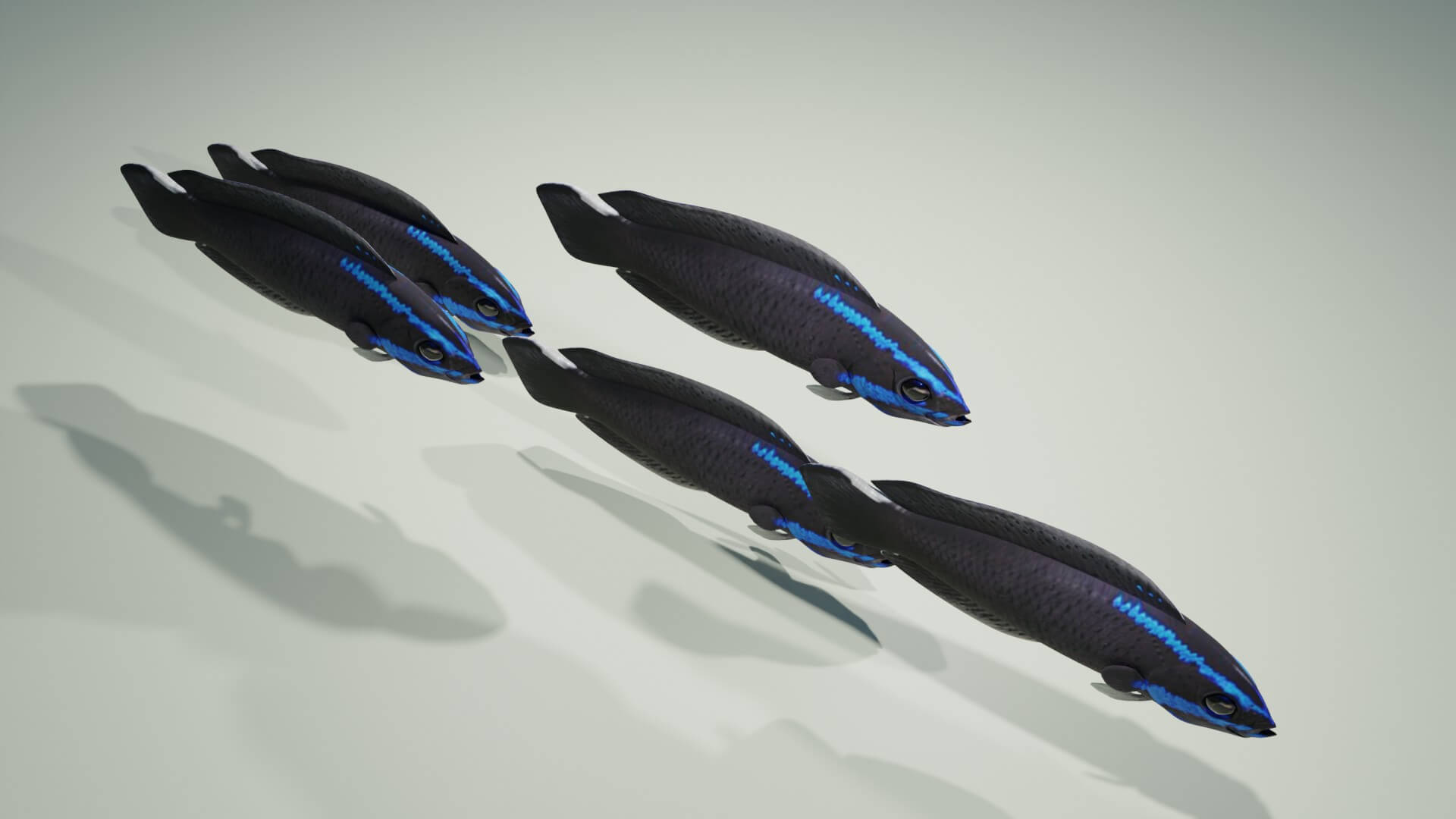 Springeri Dottyback Fish - 3D Model by ilham45