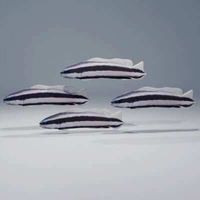Striped Dottyback Fish - Free 3D Model by ilham45