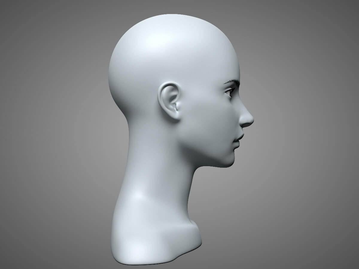 Female Head 2 - 3D Model by IndieArt