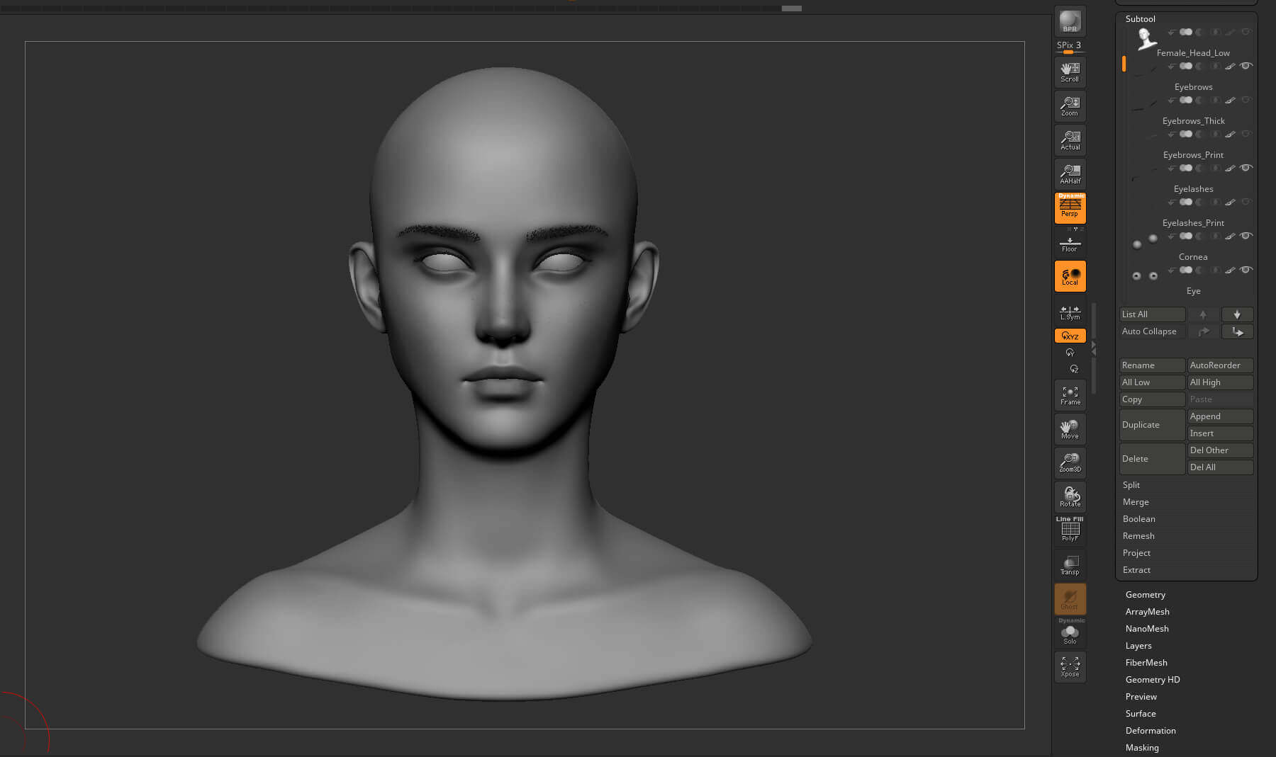Young Female Head - 3D Model by IndieArt