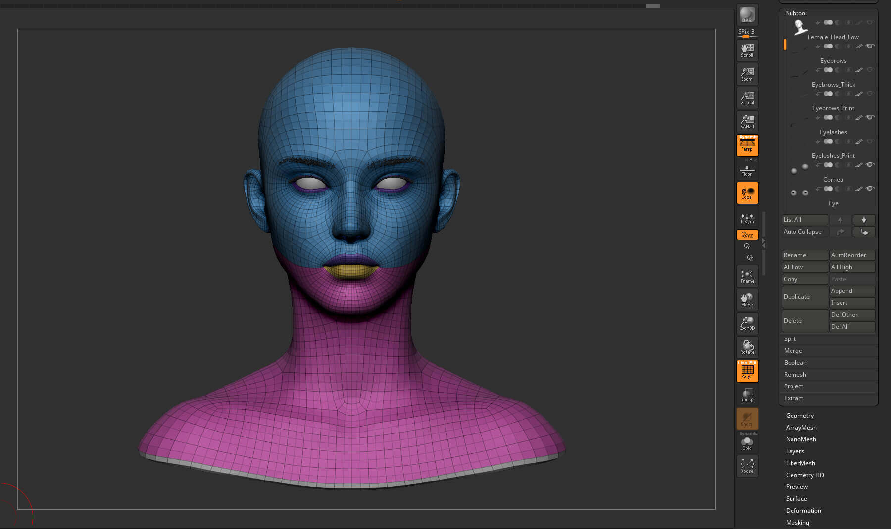 Young Female Head - 3D Model by IndieArt