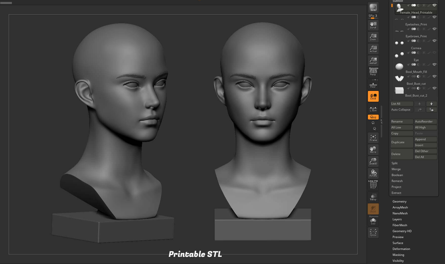 Young Female Head - 3D Model by IndieArt