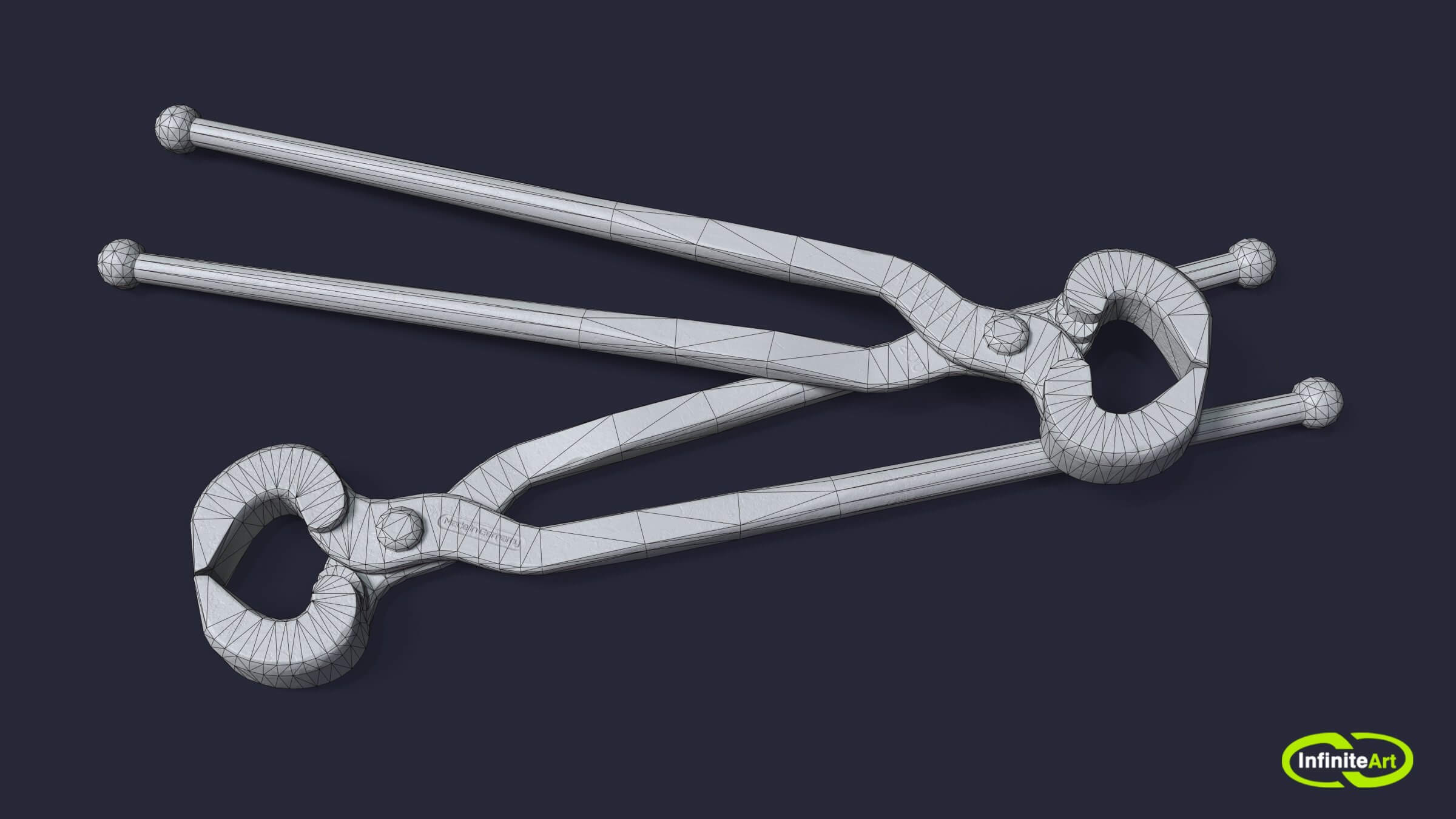 Ticks Pincer - 3D Model by INFINITE ART SOLUTIONS