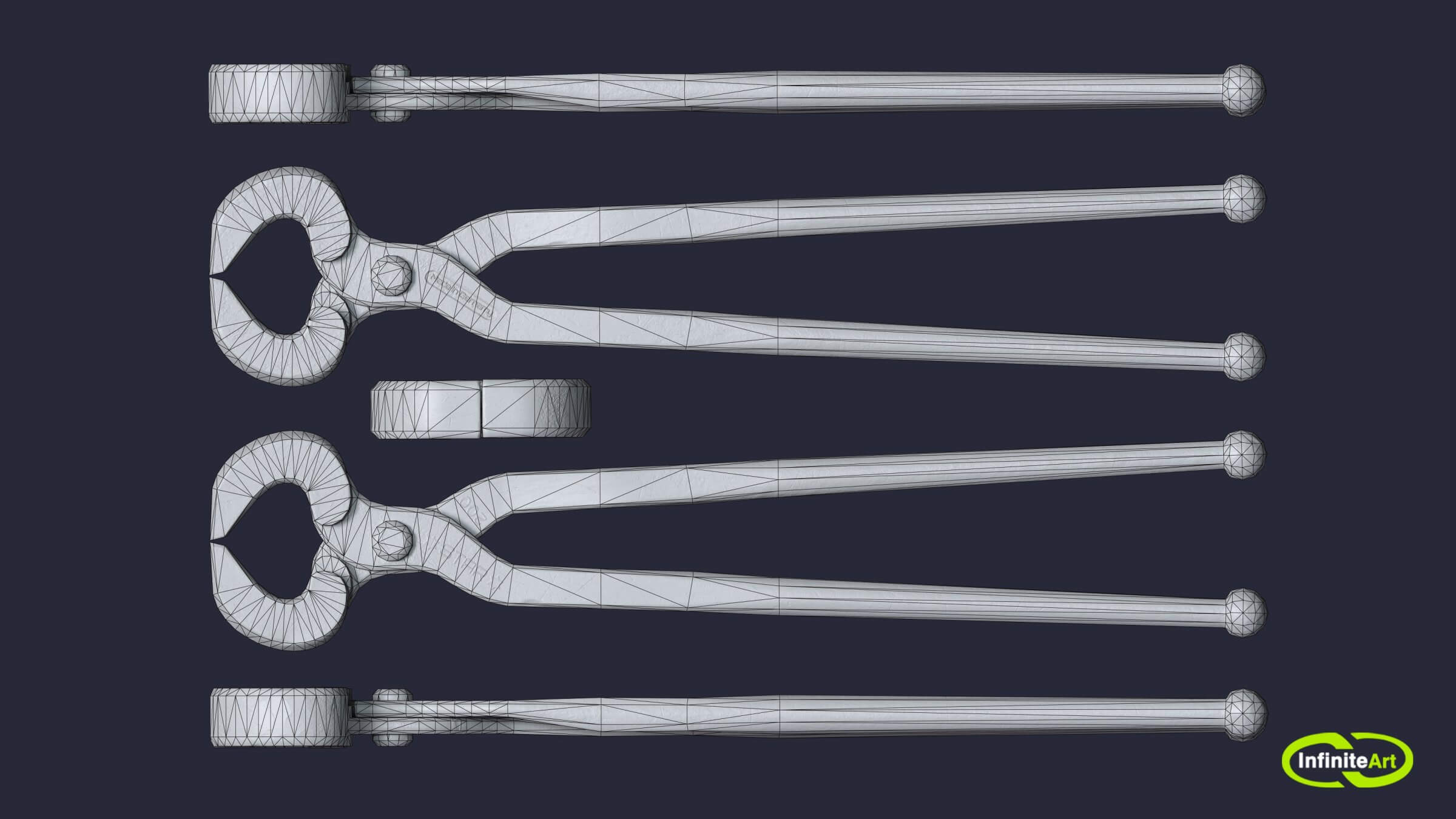 Ticks Pincer - 3D Model by INFINITE ART SOLUTIONS