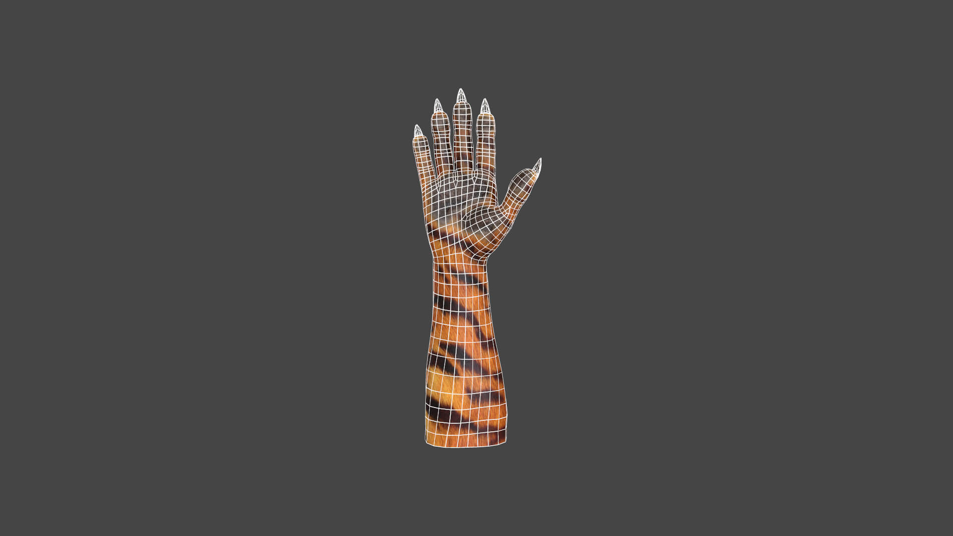 HAND-051 Rigged Right Hand 3D Model by IpoyPunk
