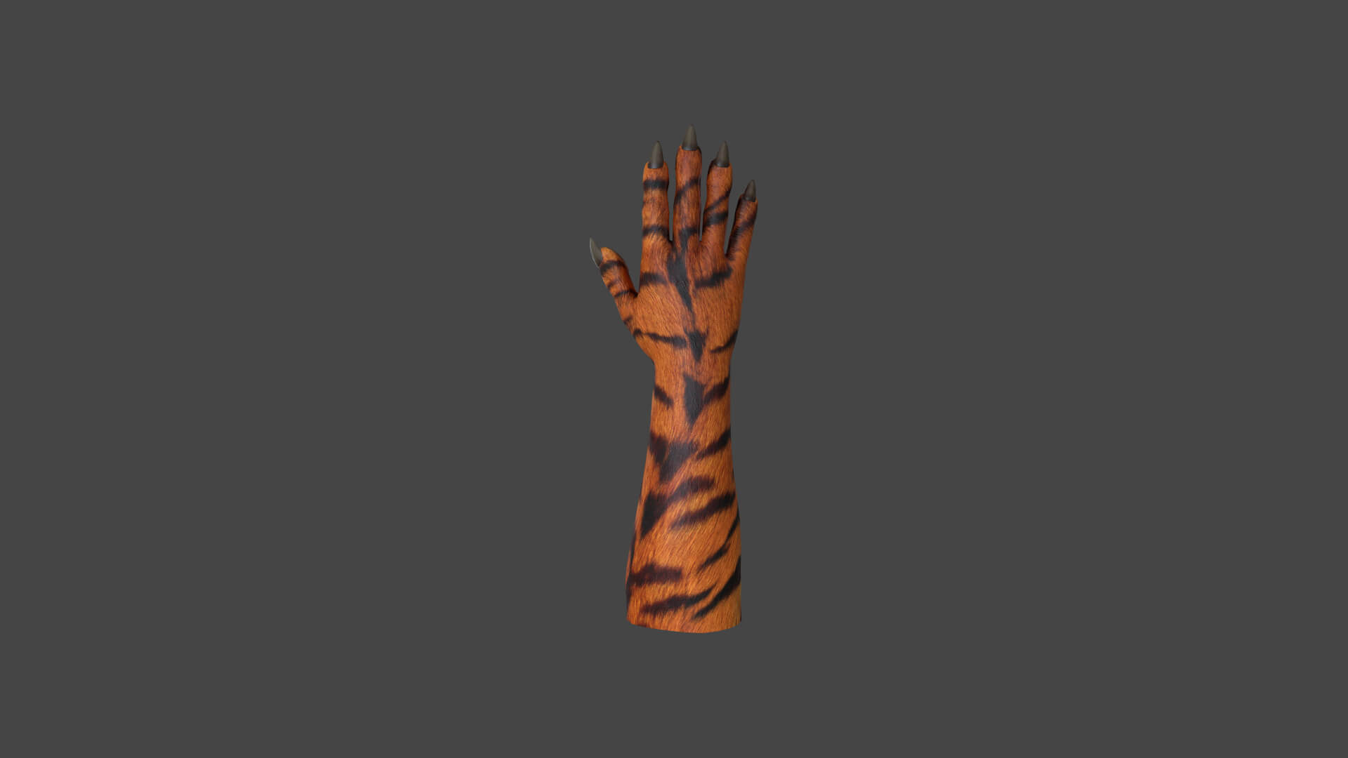 HAND-051 Rigged Right Hand 3D Model by IpoyPunk