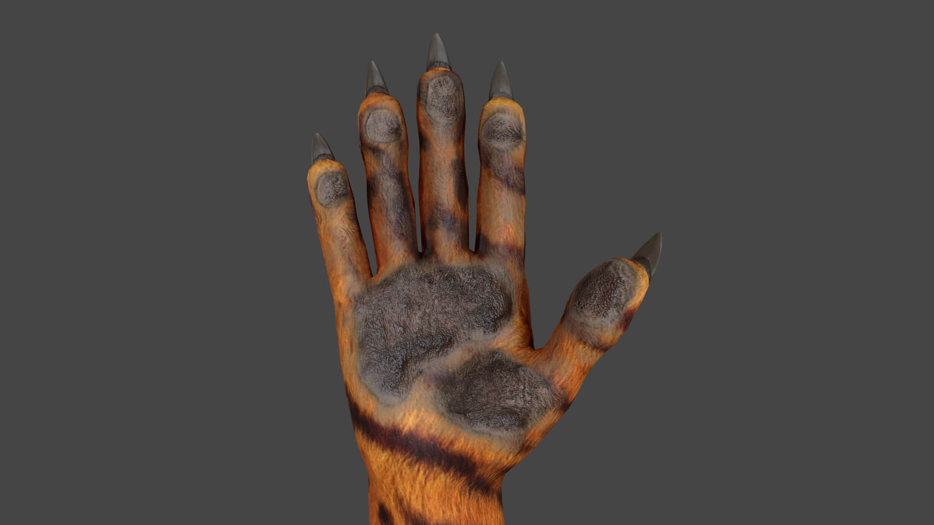 HAND-051 Rigged Right Hand 3D Model by IpoyPunk