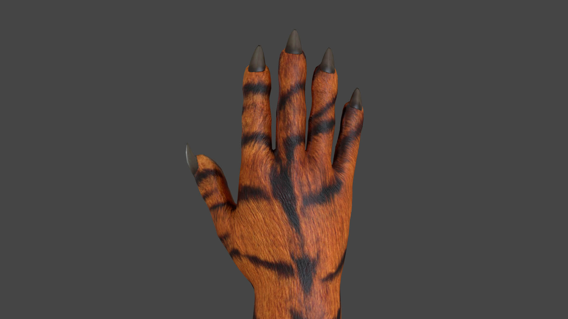 HAND-051 Rigged Right Hand 3D Model by IpoyPunk