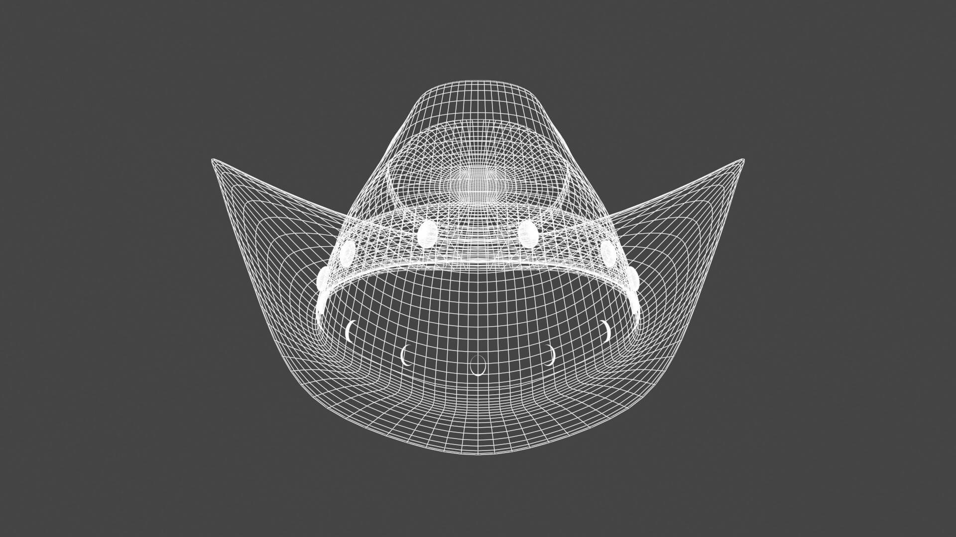 Hat - 3D Model by IpoyPunk