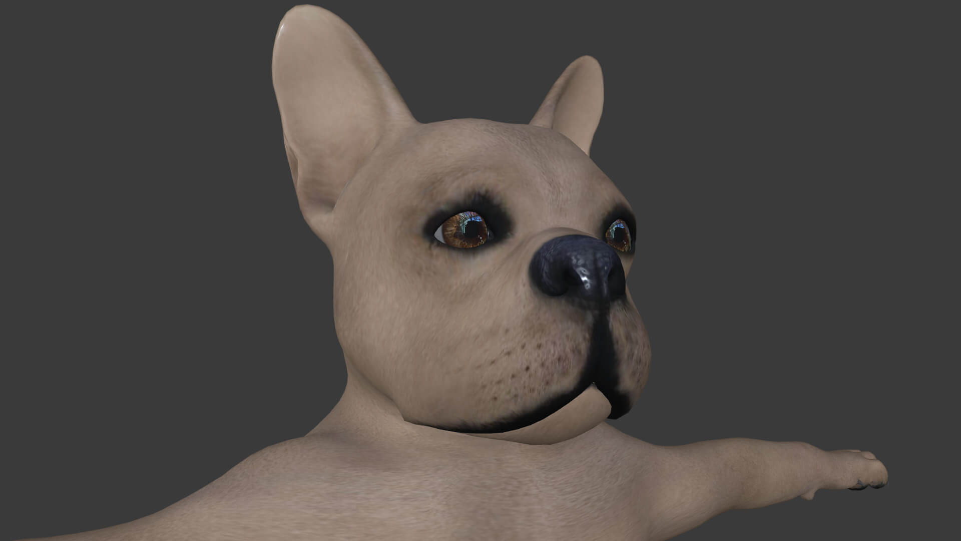 HBUL-001 Rigged Dog 3D Model by IpoyPunk