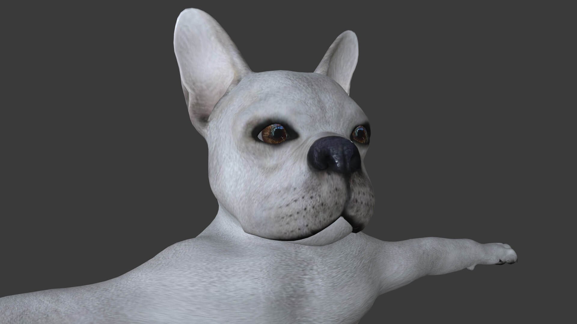 HBUL-002 Rigged Dog 3D Model by IpoyPunk