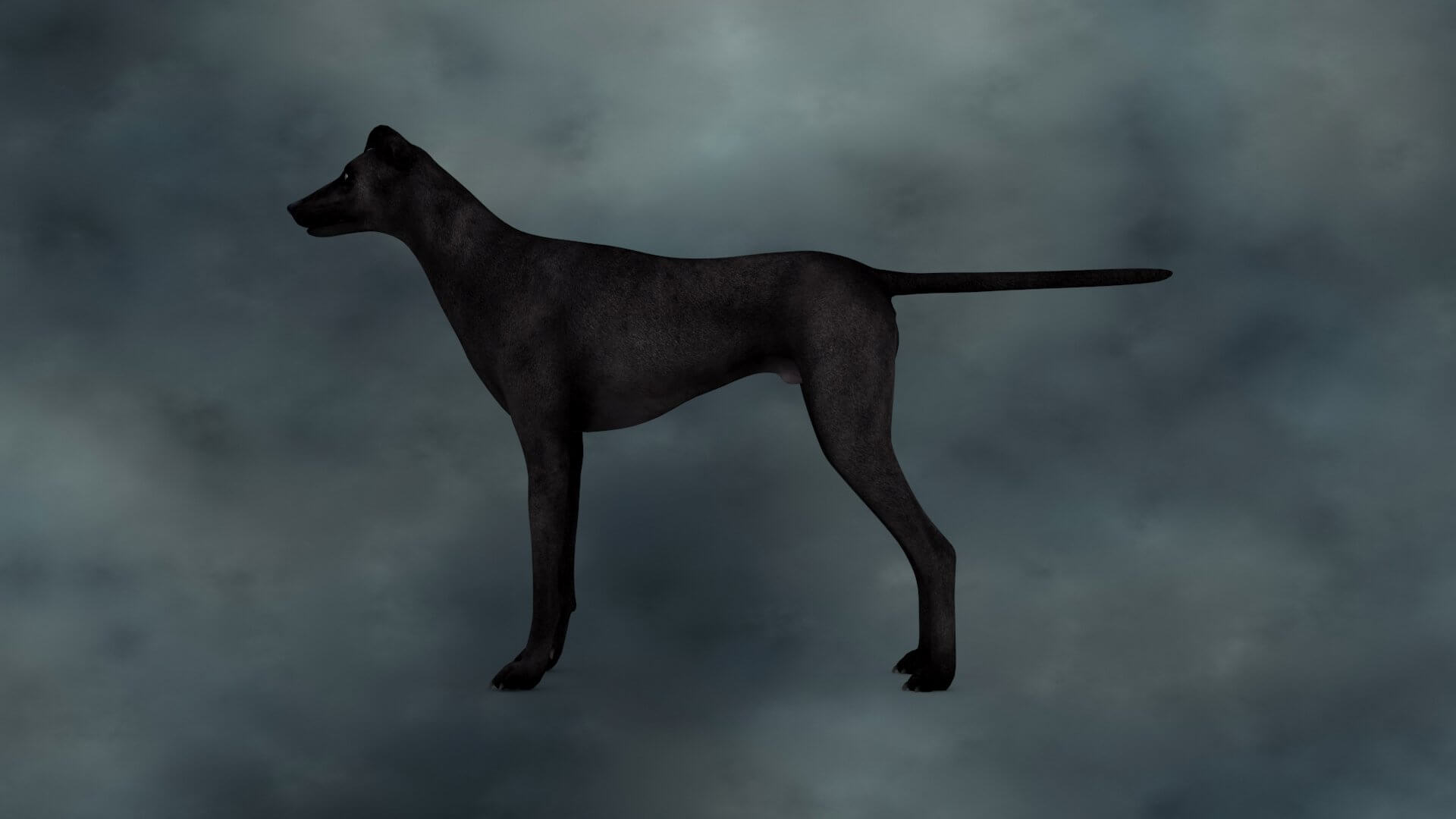 MDGH-004 Greyhound Dog 3D Model by IpoyPunk