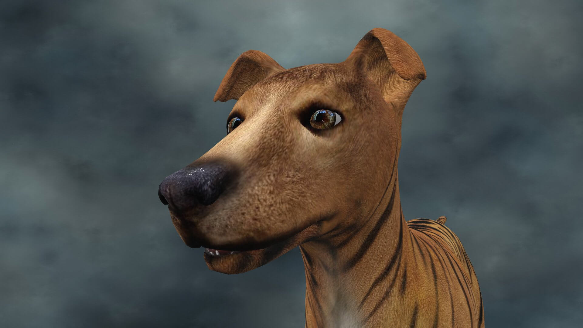 MDGH-010 Greyhound Dog 3D Model by IpoyPunk