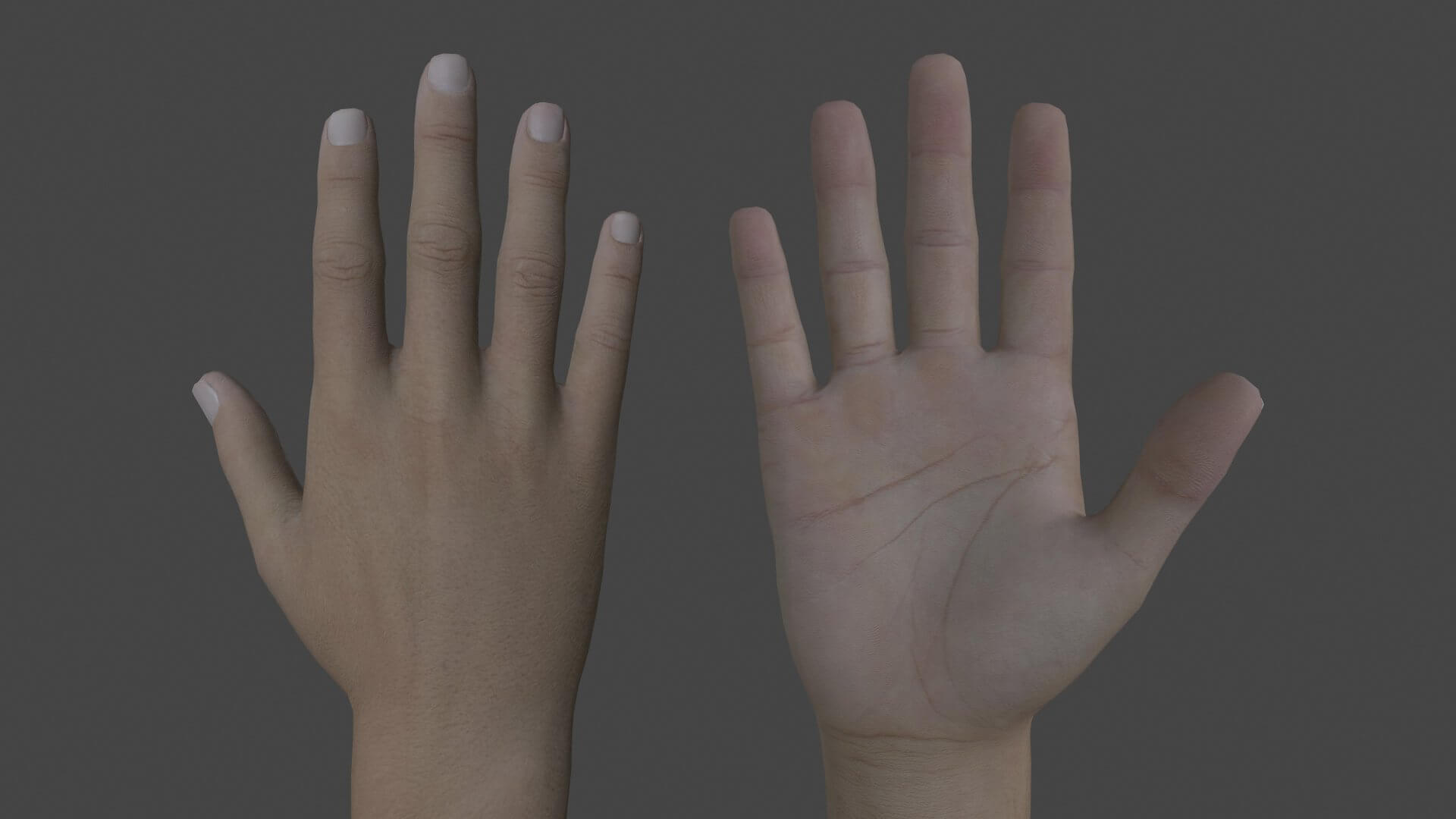 Rigged Hand Animation - 3D Model by IpoyPunk