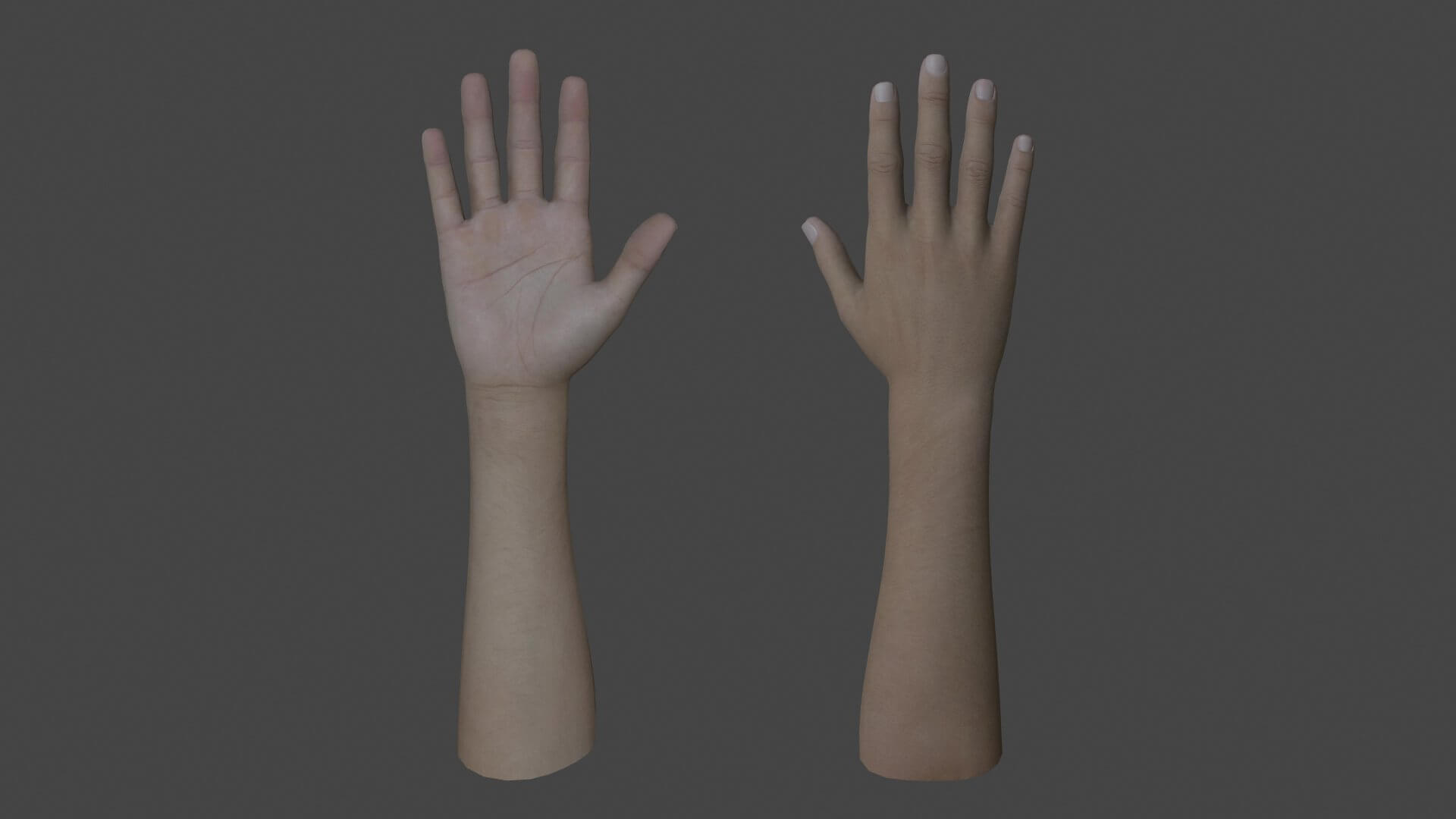 Rigged Hand Animation - 3D Model by IpoyPunk