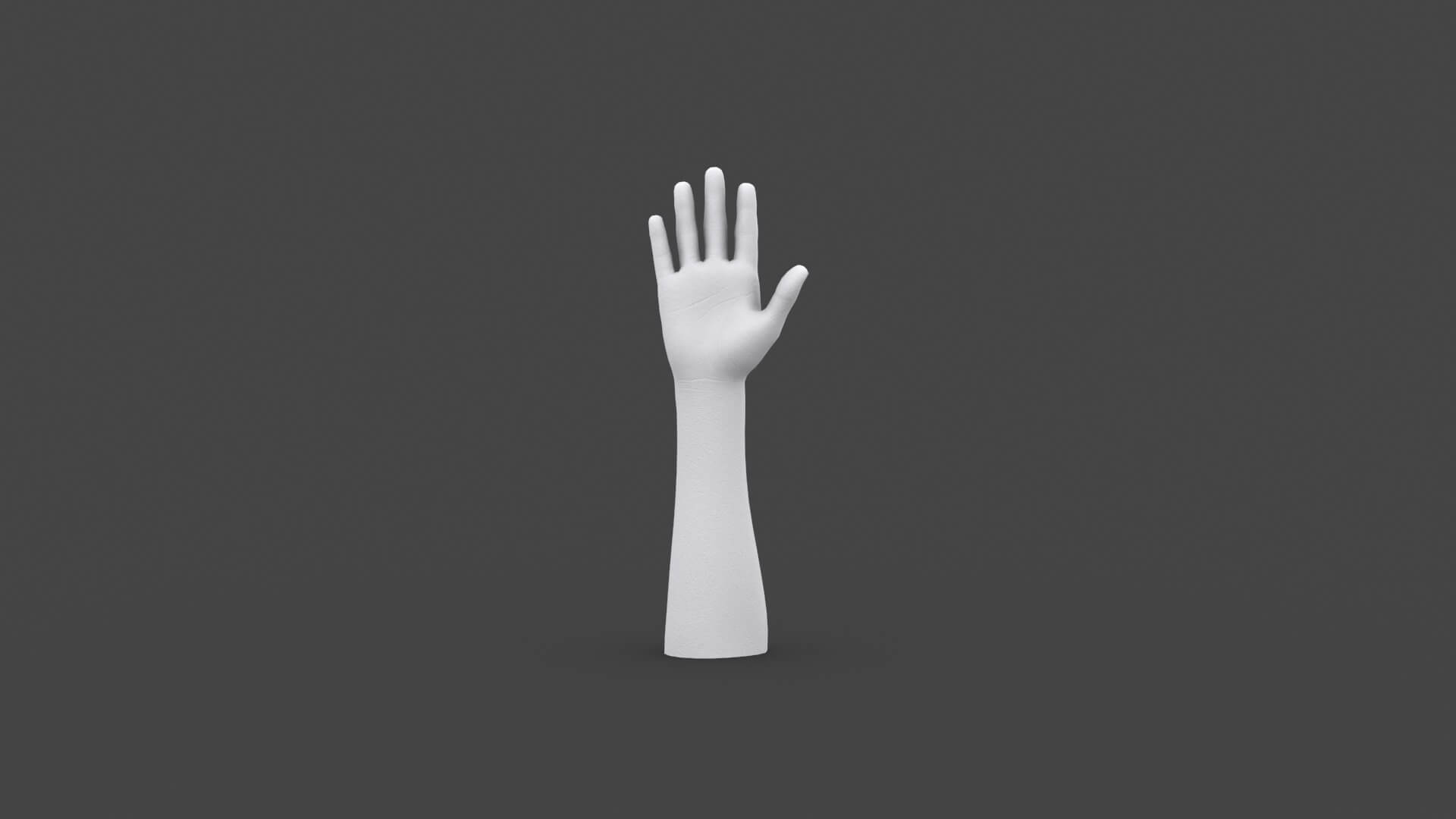 Rigged Hand Animation - 3D Model by IpoyPunk
