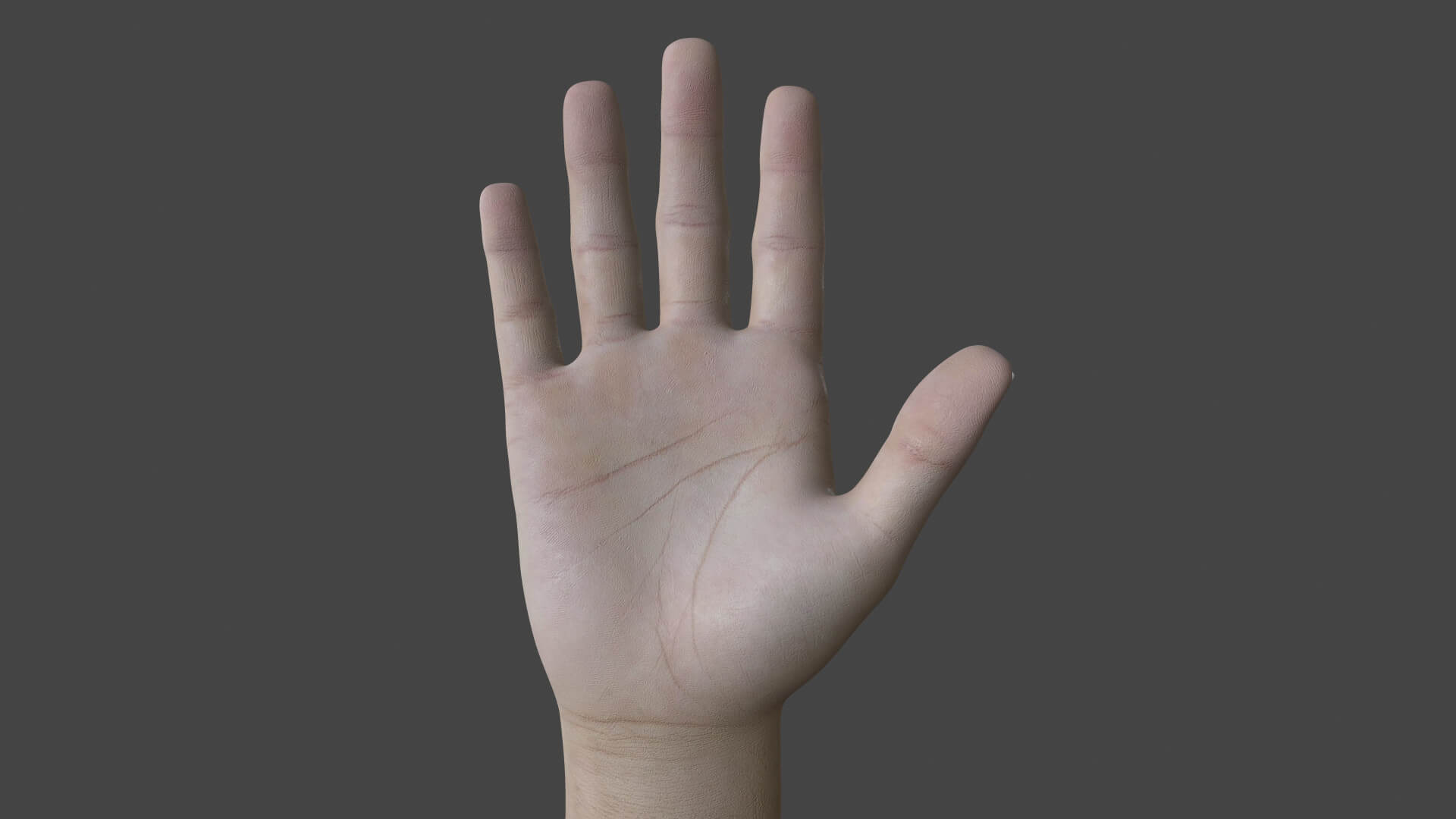 TSHR001 - Rigged Right Hand 3D Model by IpoyPunk