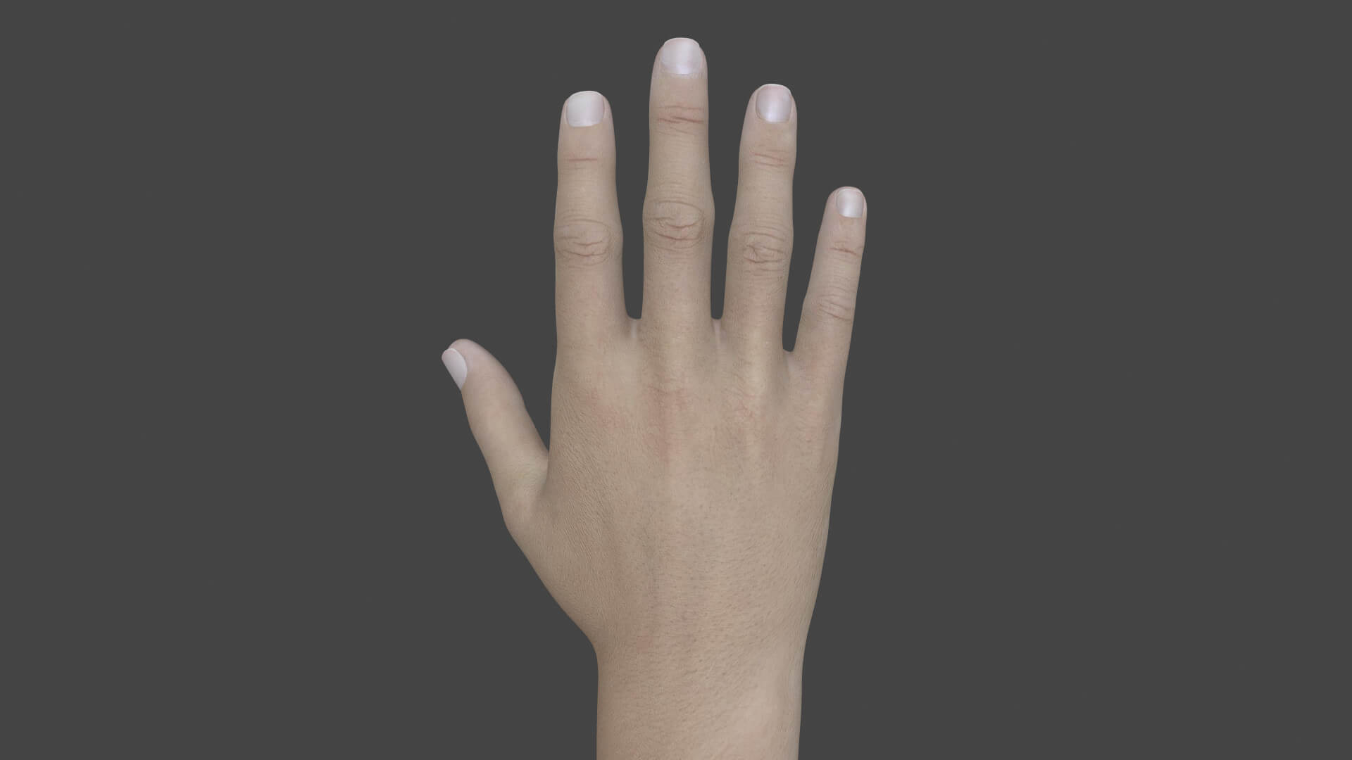 TSHR001 - Rigged Right Hand 3D Model by IpoyPunk
