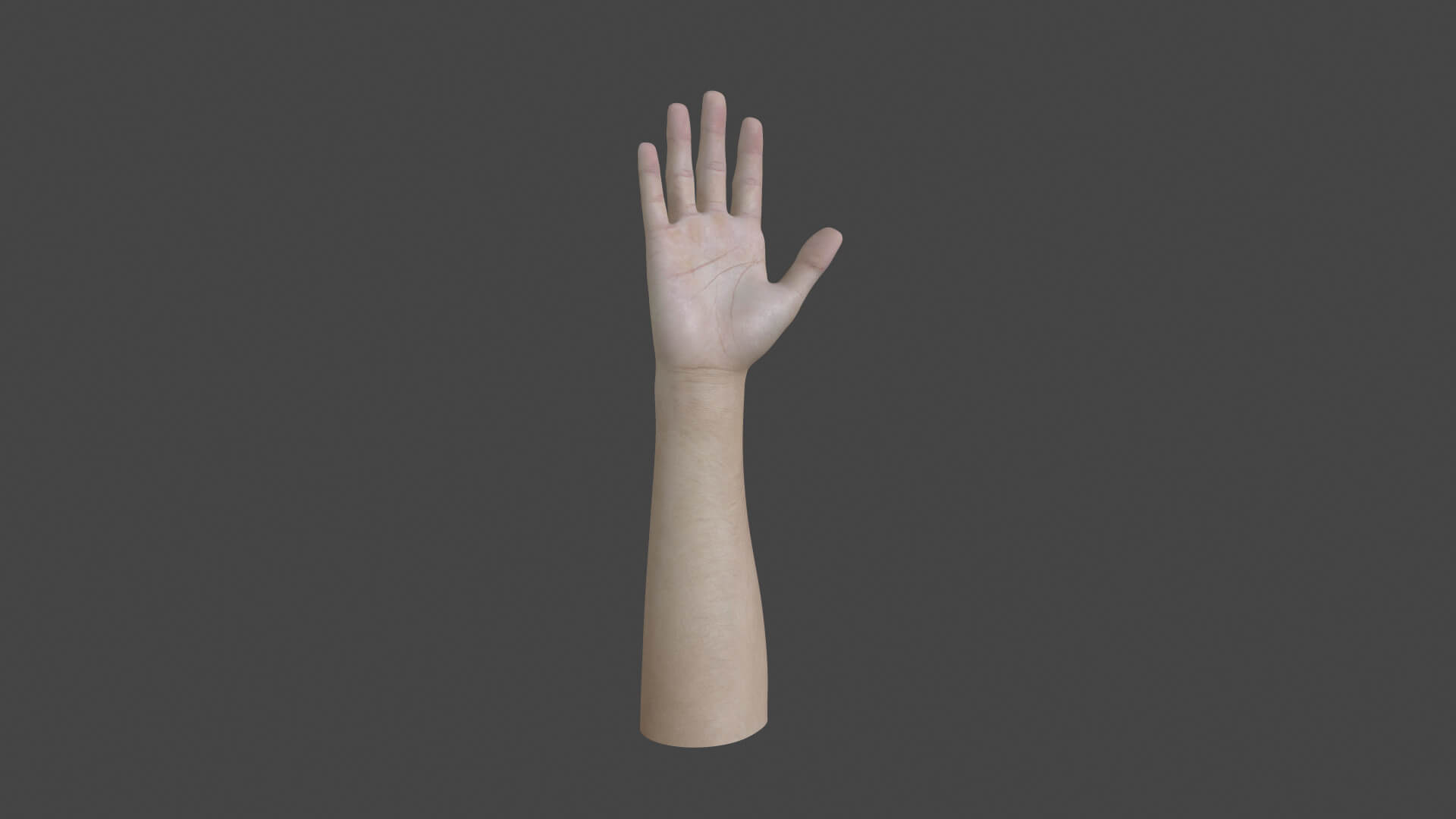 TSHR001 - Rigged Right Hand 3D Model by IpoyPunk