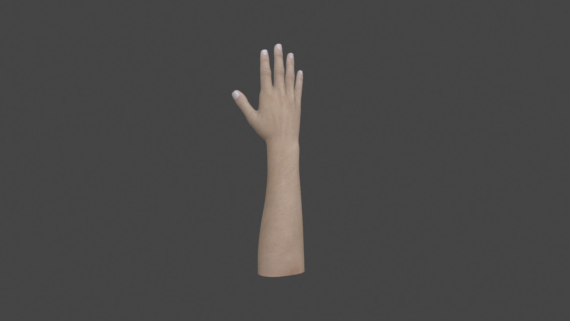 TSHR001 - Rigged Right Hand 3D Model by IpoyPunk