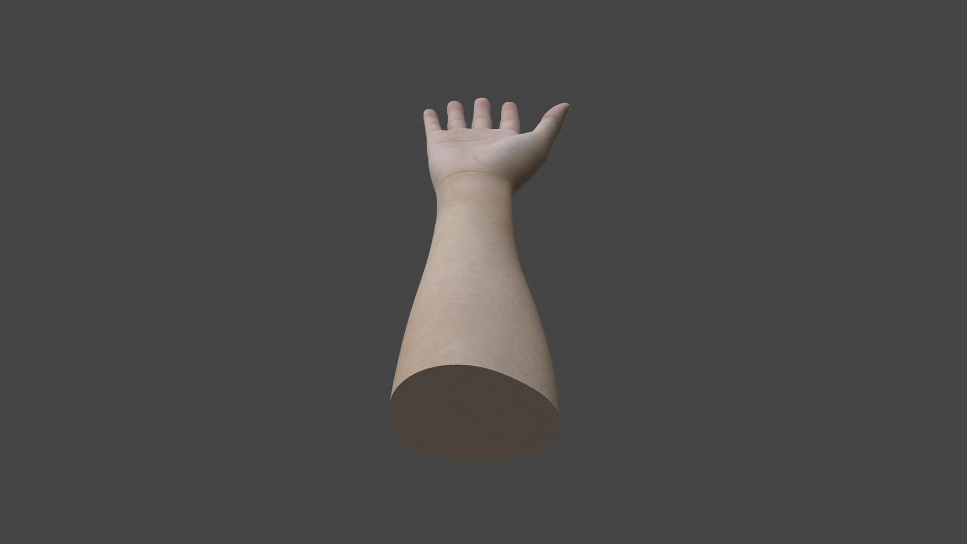 TSHR001 - Rigged Right Hand 3D Model by IpoyPunk