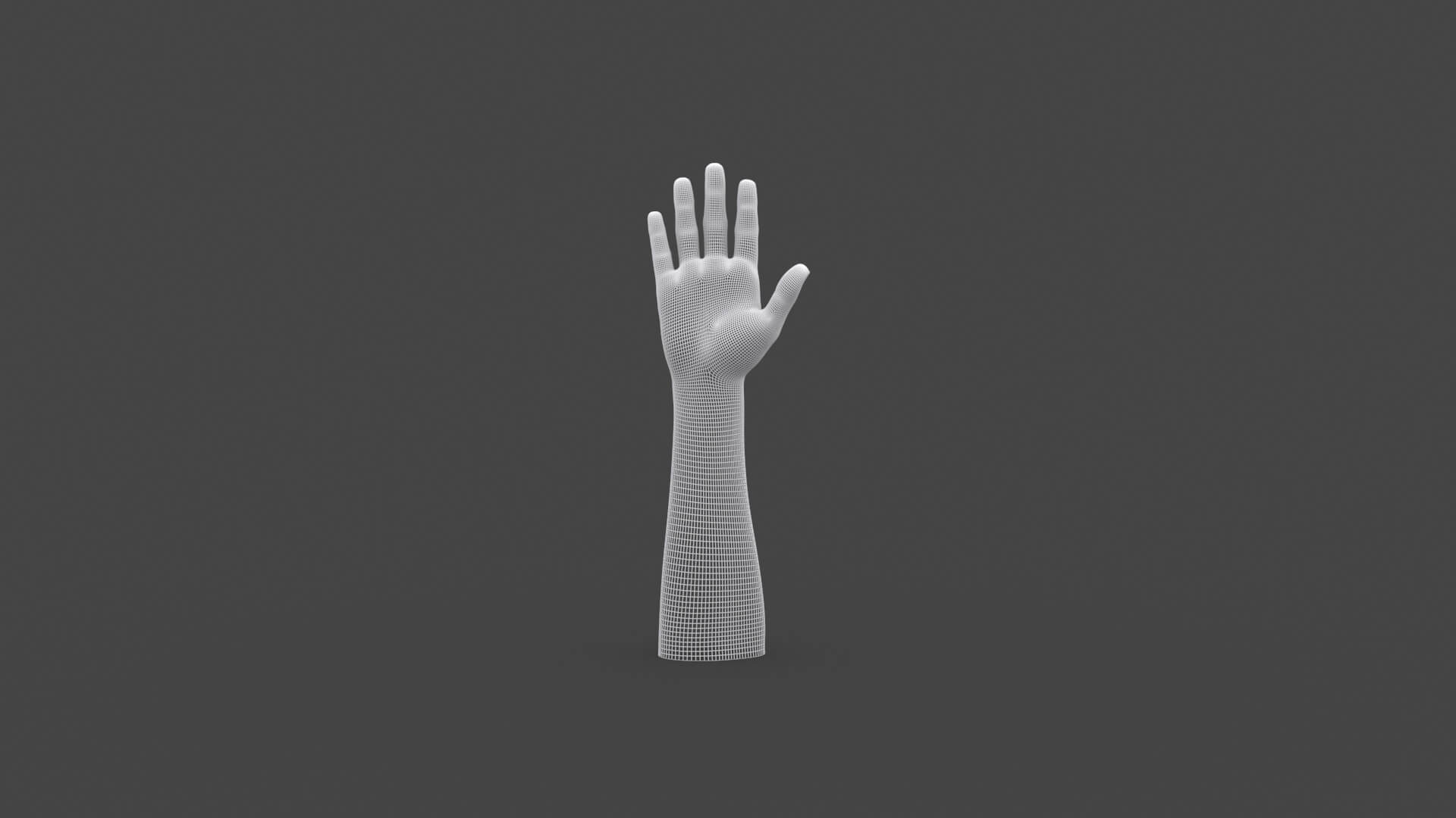 TSHR001 - Rigged Right Hand 3D Model by IpoyPunk