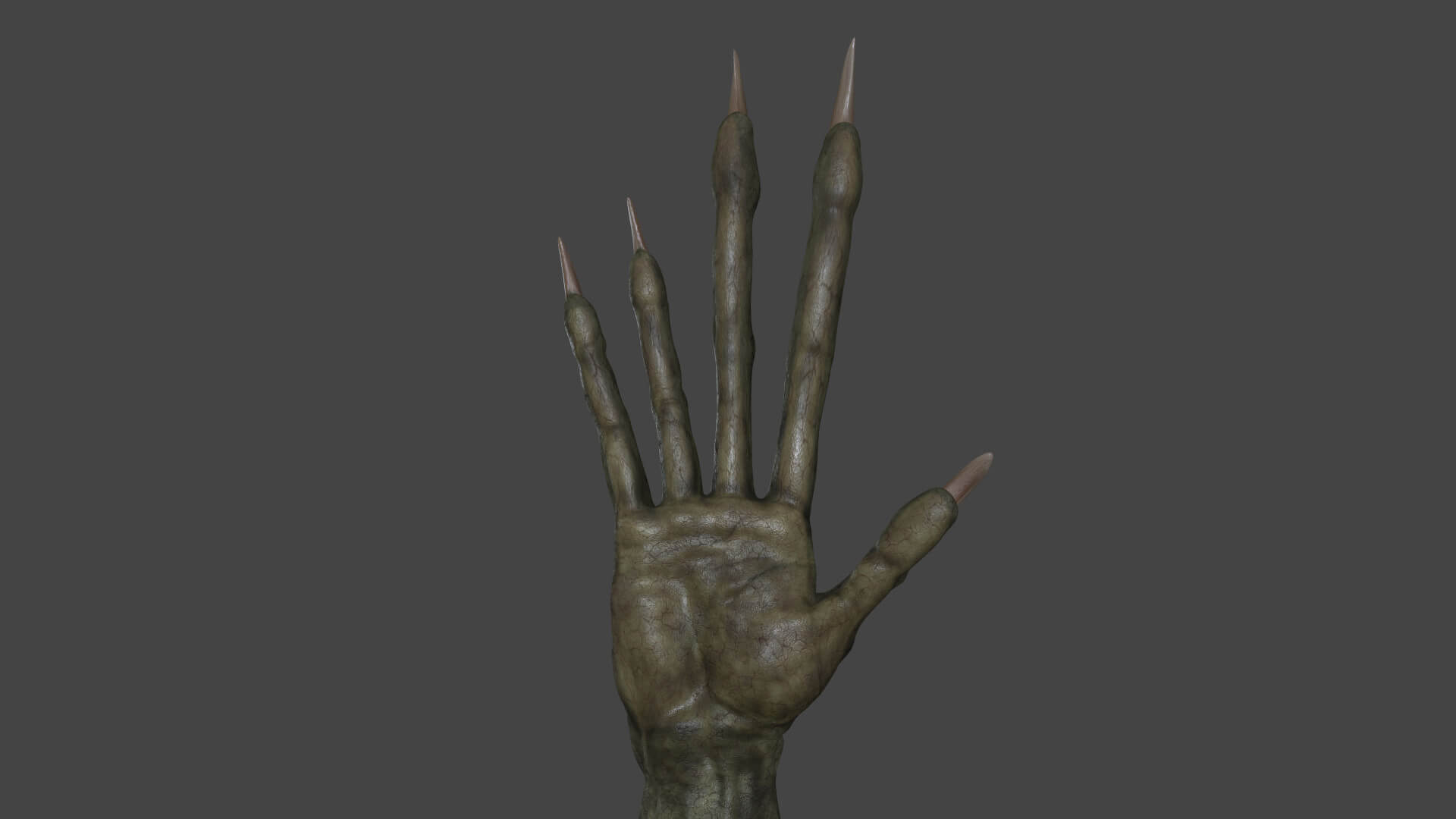 TSHR002 - Rigged Right Hand 3D Model by IpoyPunk