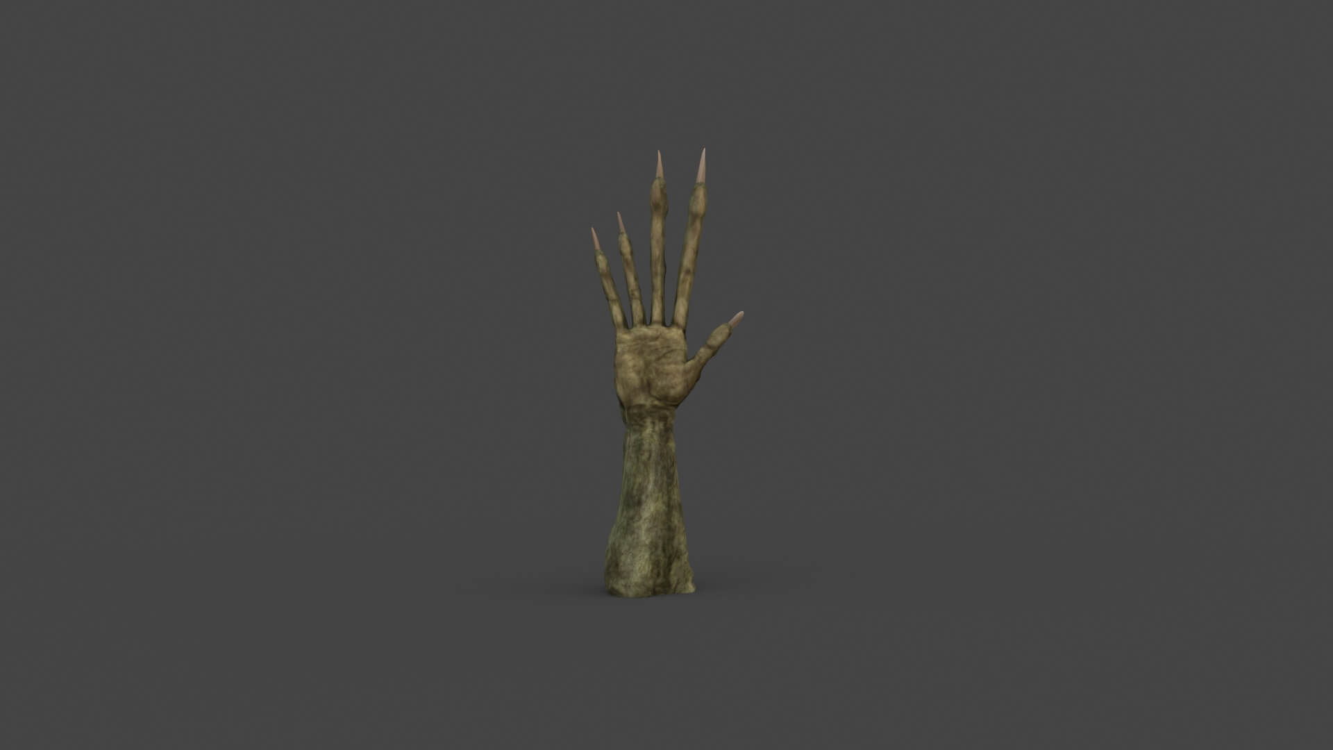 TSHR002 - Rigged Right Hand 3D Model by IpoyPunk