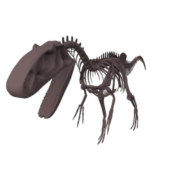 Allosaurus Skeleton - 3D Model by ismetcam