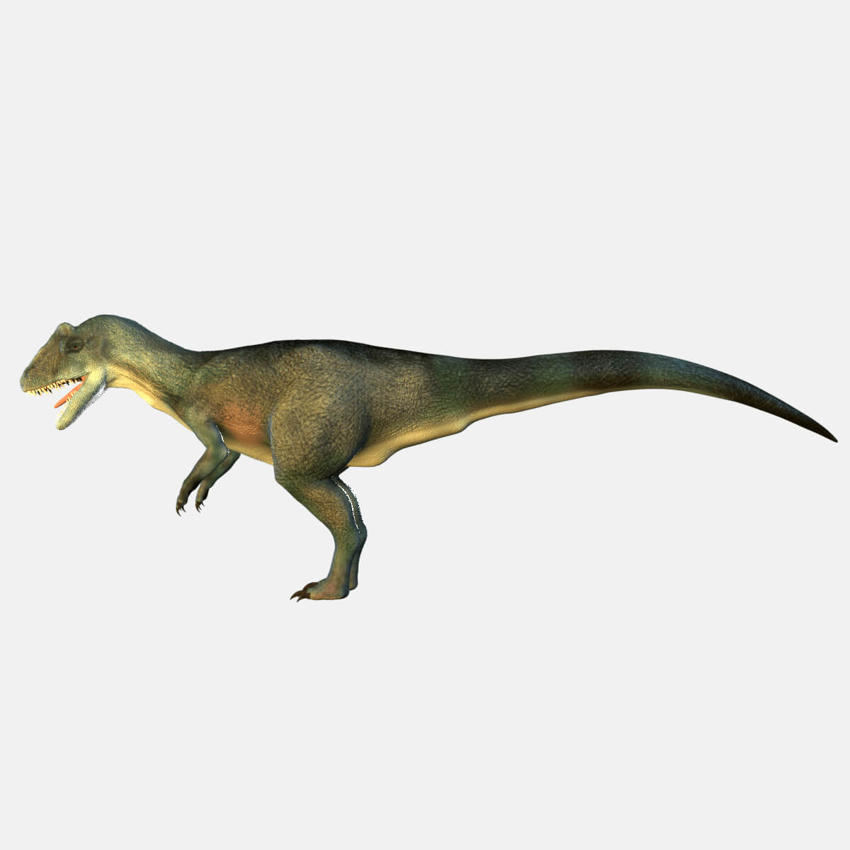 Allosaurus Dinosaur - 3D Model by ismetcam