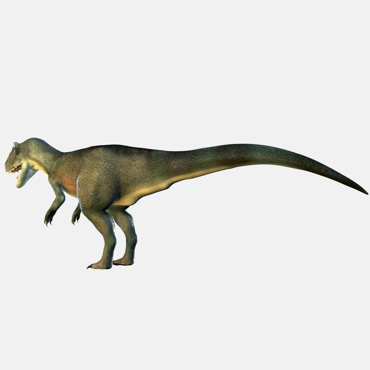 Allosaurus Dinosaur - 3D Model by ismetcam